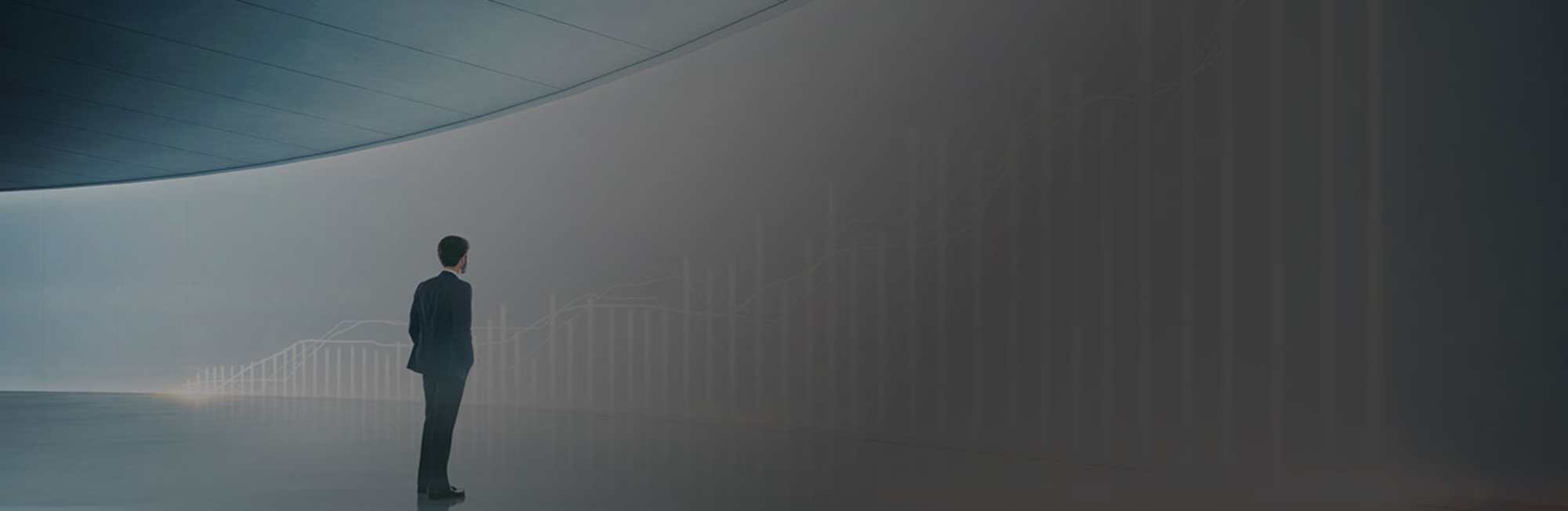 Krishna Smart Solution